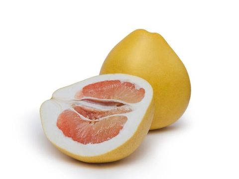 Pummelo (Valentine) | Citrus